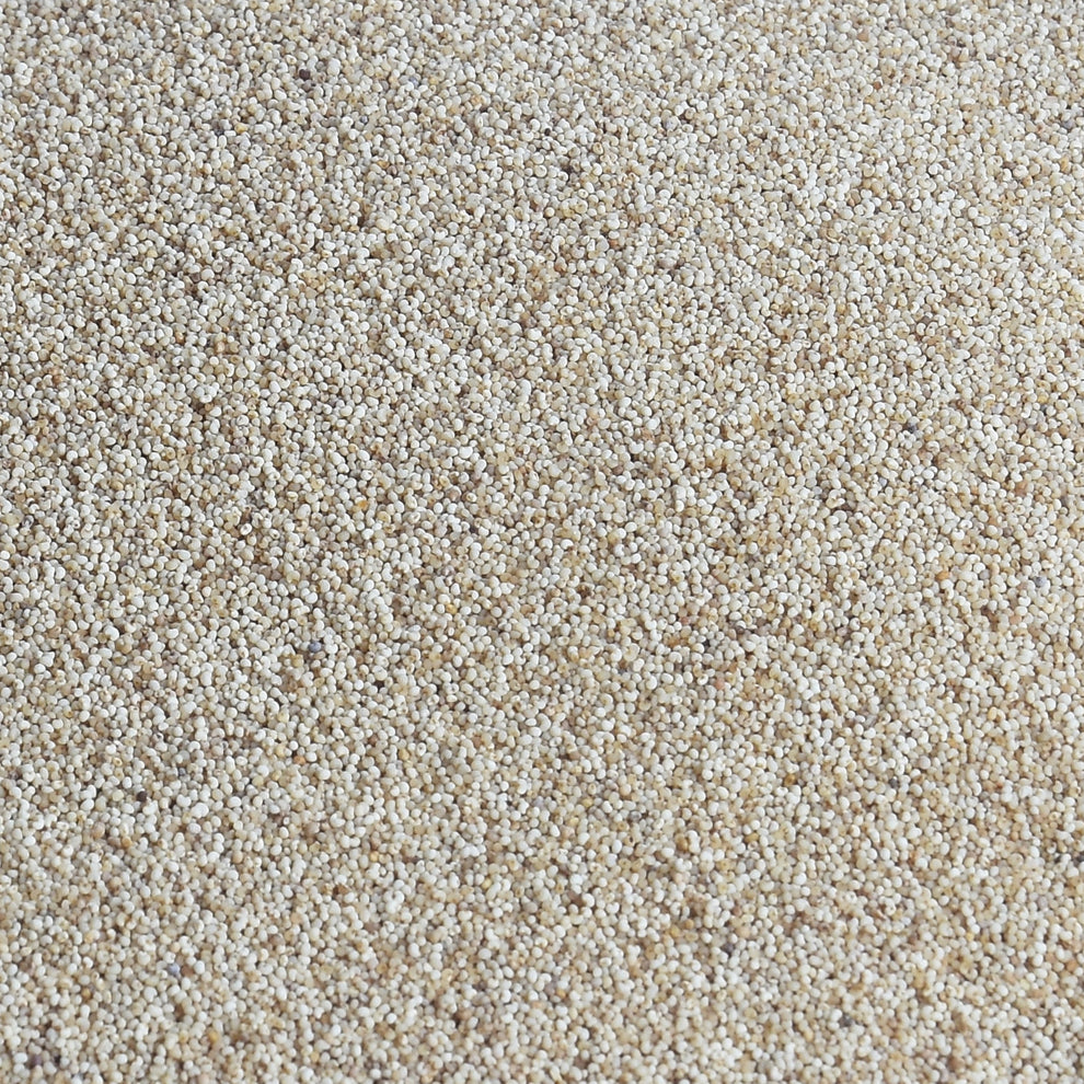 KASA KASA (POPPY SEEDS) – GRK Dry Fruits